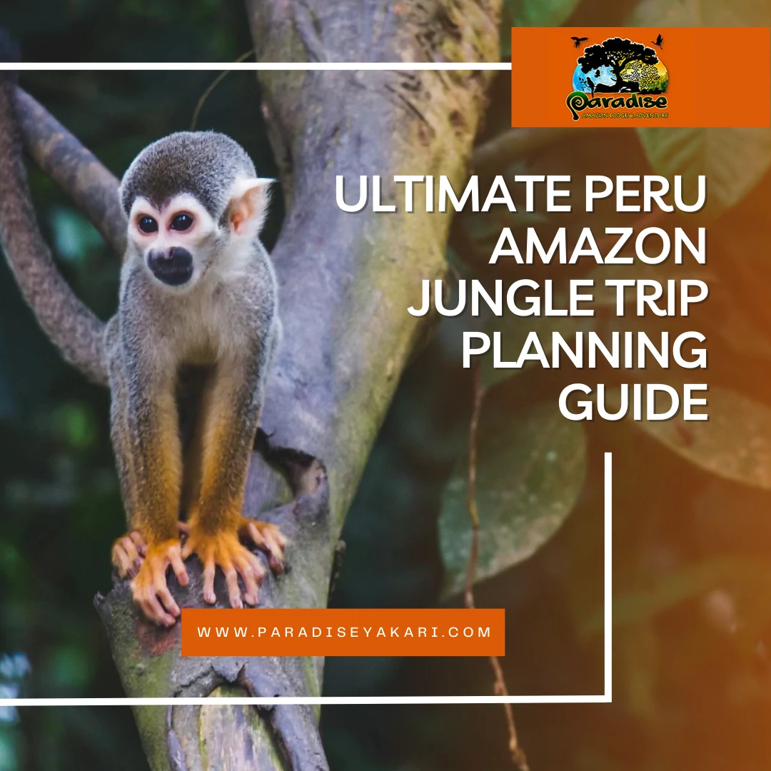 Ultimate Peru Amazon Jungle Trip Planning Guide - Updated 2024