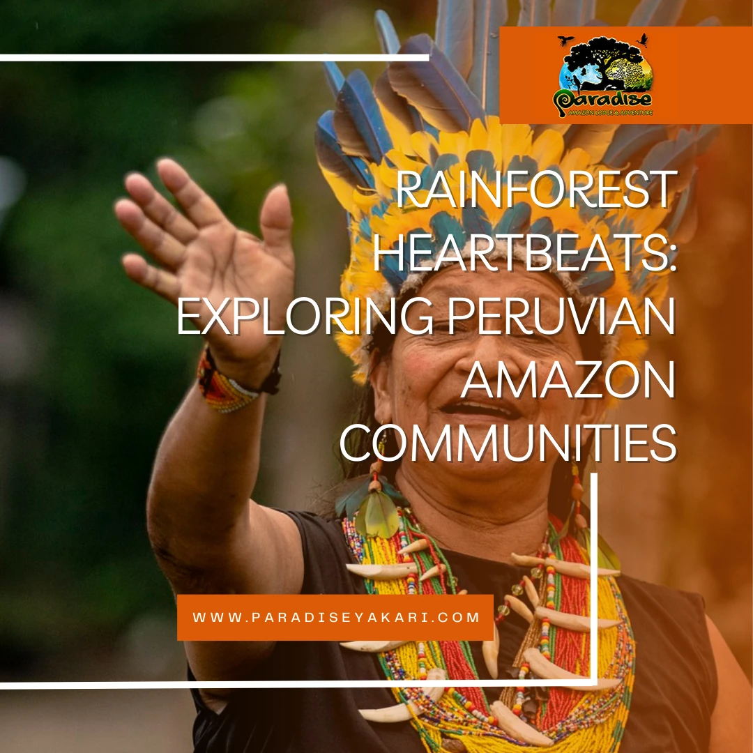 Exploring Peruvian Amazon Communities - 2024