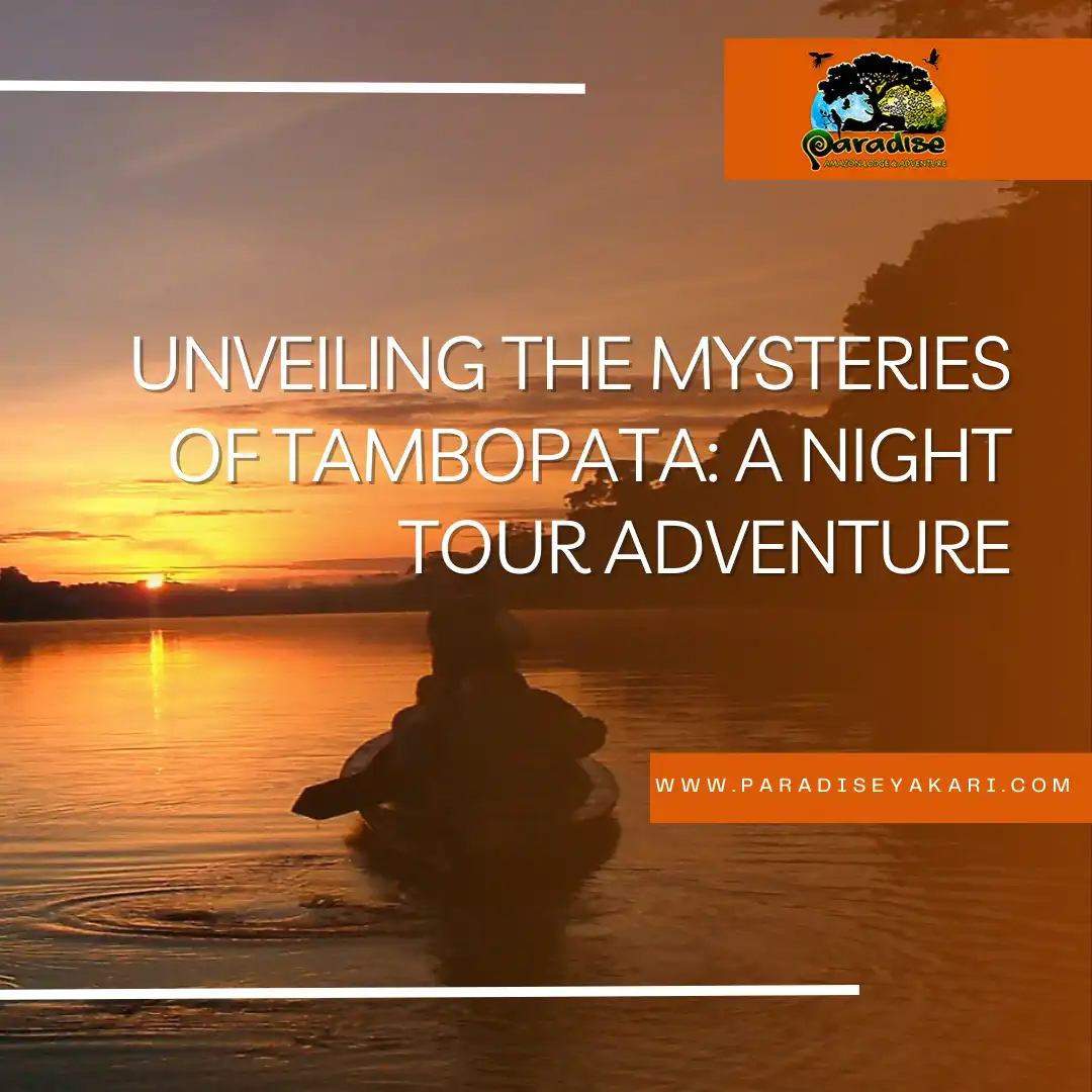 A Night Tour Adventure - Paradise Amazon Lodge & Adventure