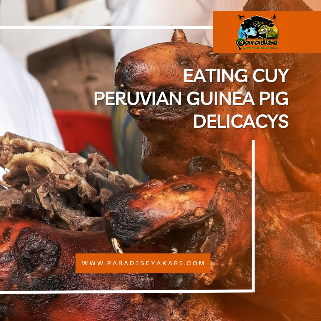 Eating Cuy: Peruvian Guinea Pig Delicacys - Paradise Yakari